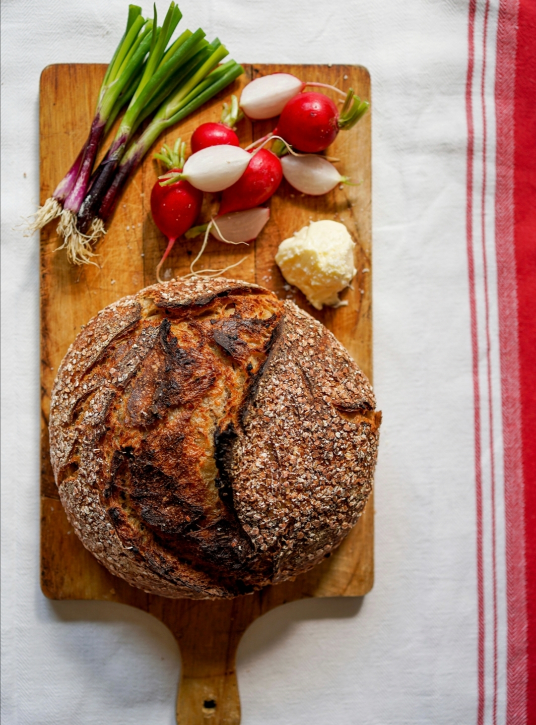 Book Review: New European Baking by Laurel Kratochvila - Entertainment Now